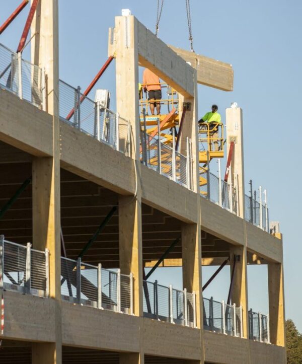 Edge Protection for Buildcorp's Cross Laminated Timber Structures