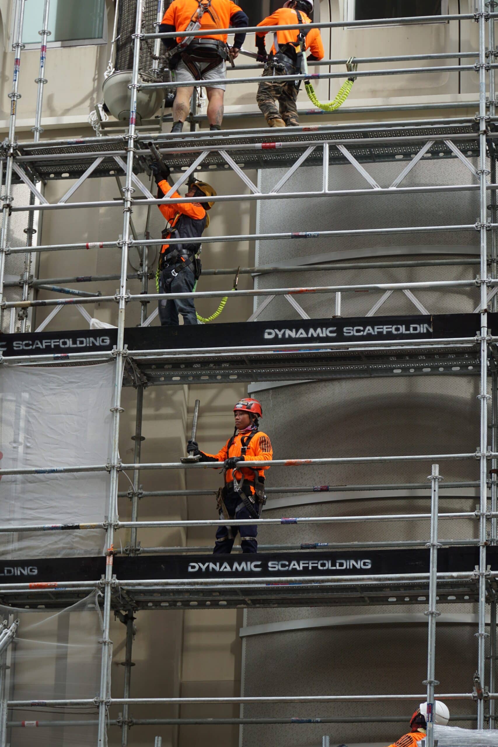 Helping Scaffolding Companies Succeed | Dynamic Scaffolding | SafeSmart Access NZ